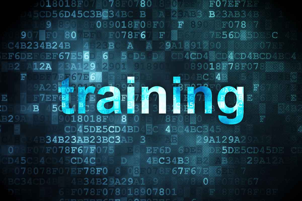Best GoHighLevel Training for 2026: Top Courses, Certification & SaaS ...